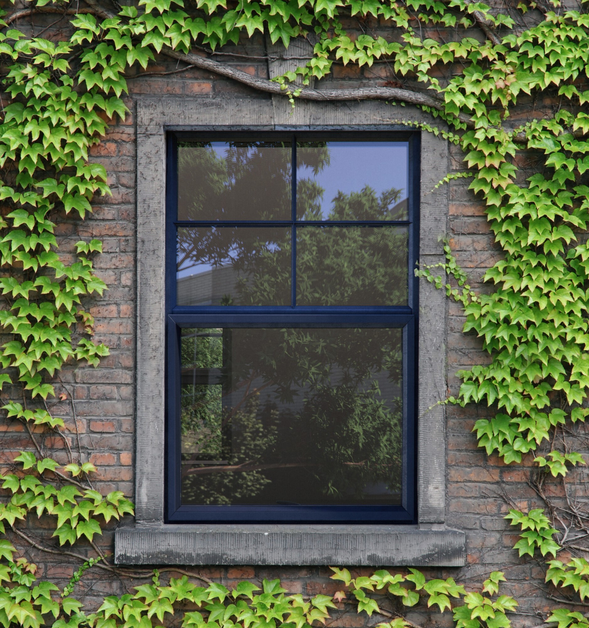 NX-300 Series Thermal Windows - Kawneer Window Solutions